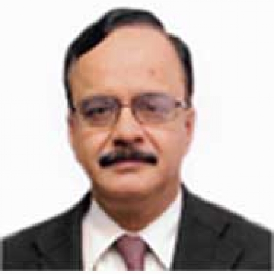 R. SRIDHARAN - Nelcast Limited